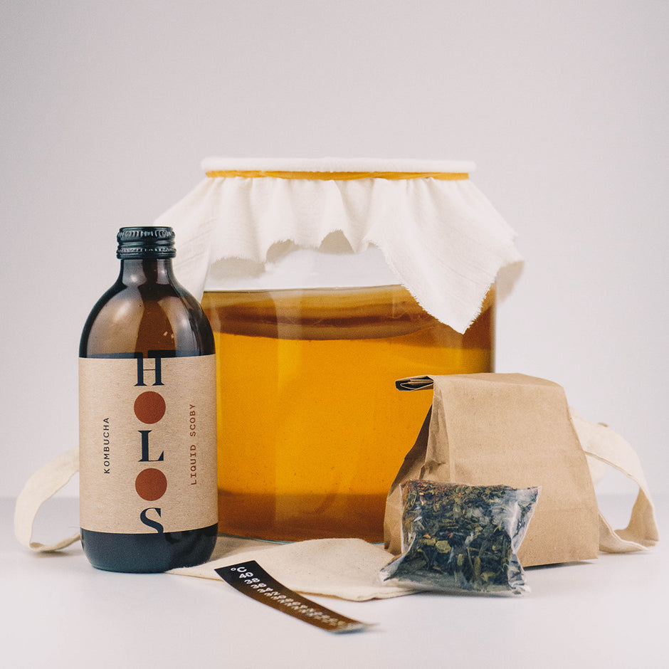 shop now – HOLOS Kombucha